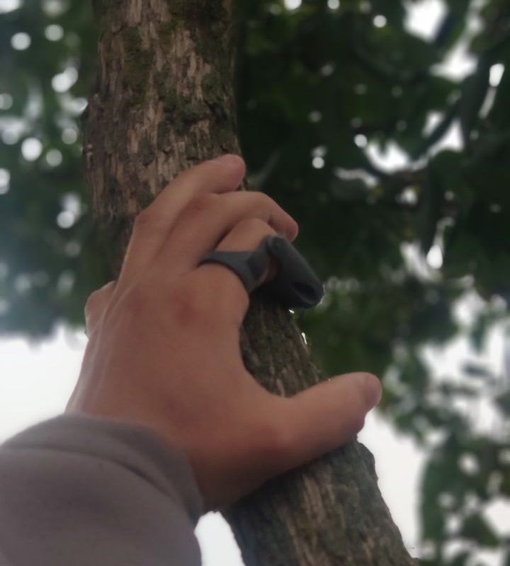 products.finger.imageAlt